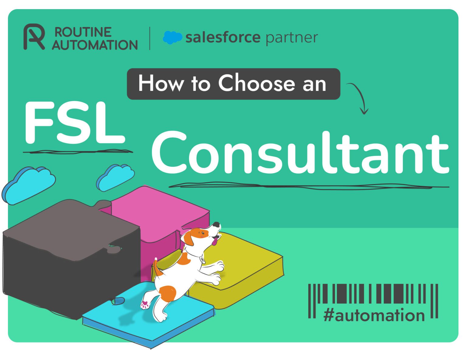 How To Choose An Fsl Consultant Guide By Routine Automation